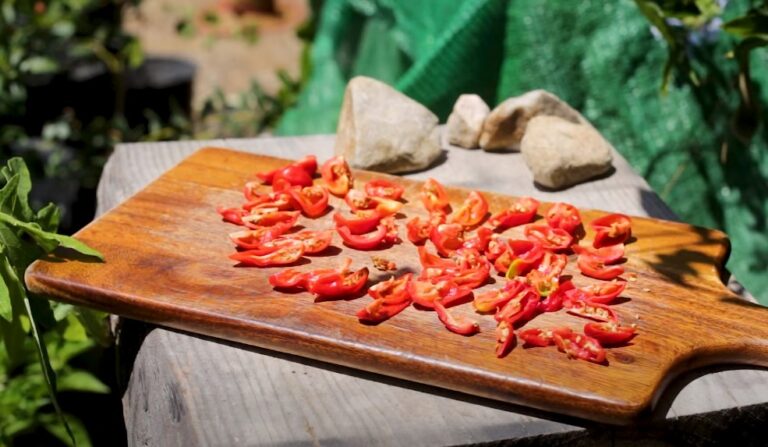 How to Make Homemade Chili Powder? The Art of Flavor - Dixons Chili